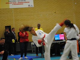 News - SEKF Take Home More Medals - Freestyle Combat Karate